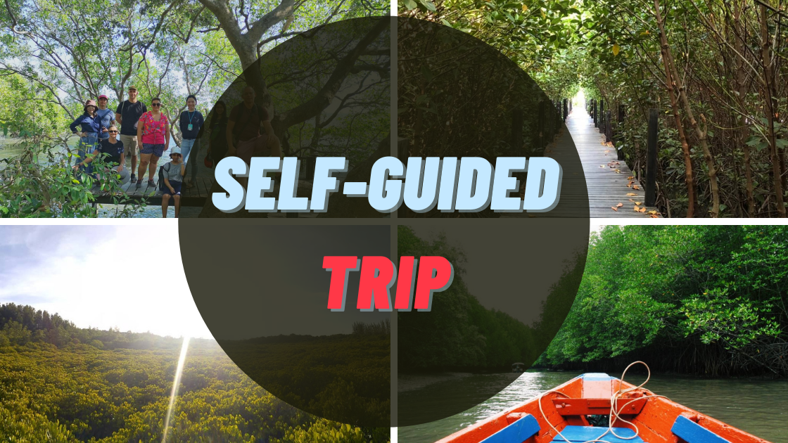 Self-Guided Trip
